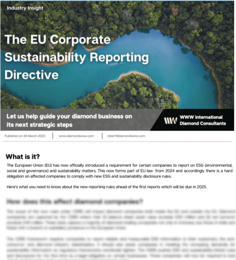 The EU Corporate Sustainability Directive | WWW International Diamond ...